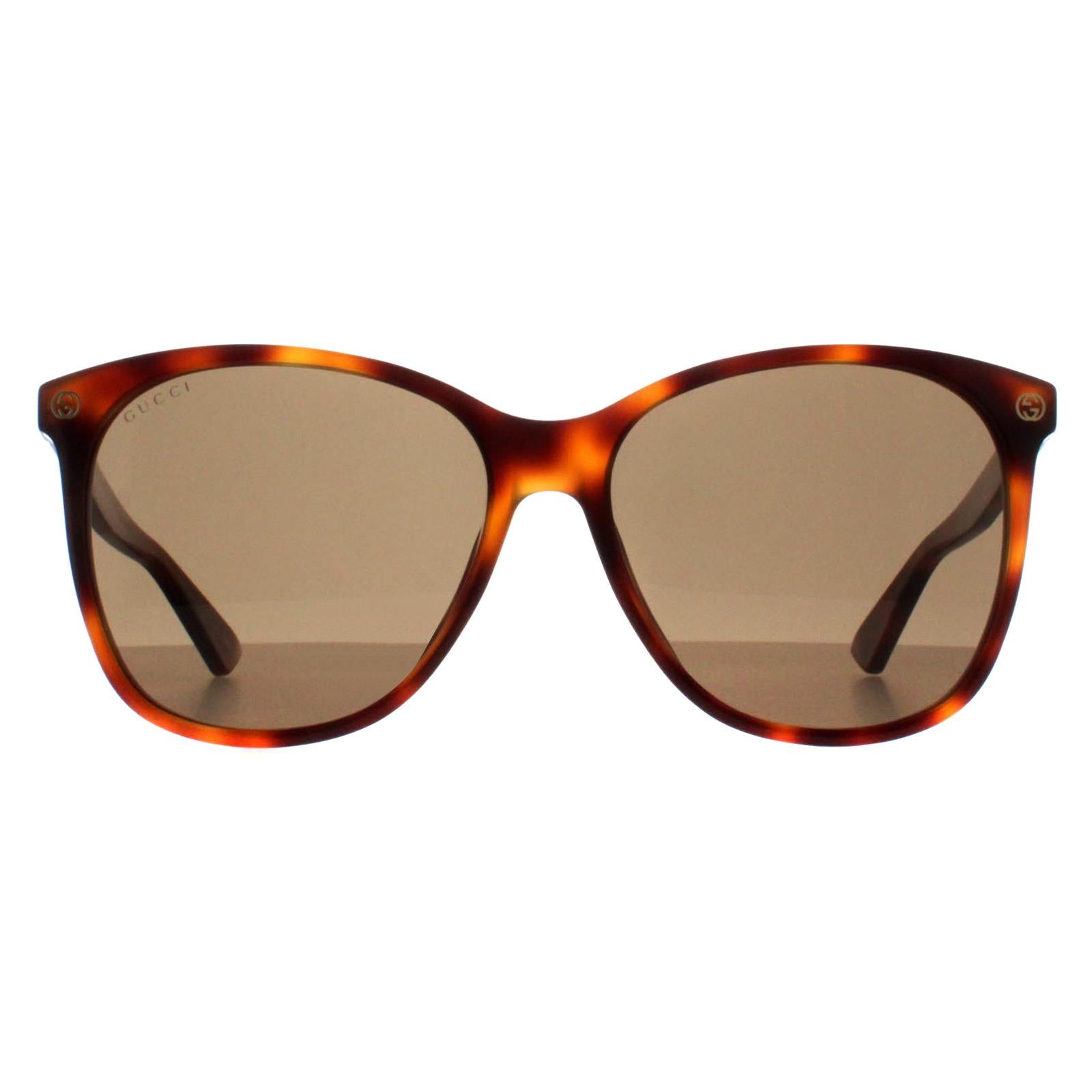 Gucci Sunglasses GG0024S 002 Havana Brown – Discounted Sunglasses